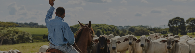 The Company – Minerva Foods | Criando conexões entre pessoas, alimentos ...