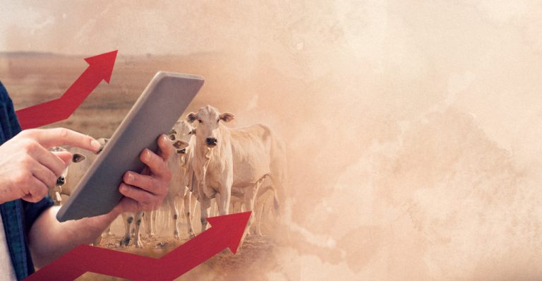 Ranchers – Minerva Foods | Criando conexões entre pessoas, alimentos e ...