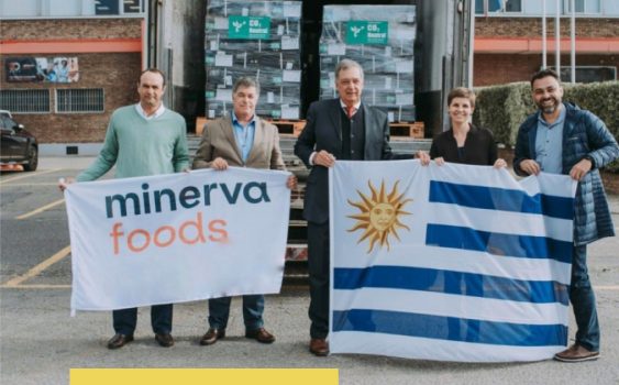 The Company – Minerva Foods | Criando conexões entre pessoas, alimentos ...