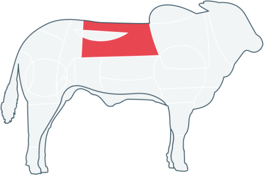 Beef Cuttings Map – Minerva Foods | Criando conexões entre pessoas ...