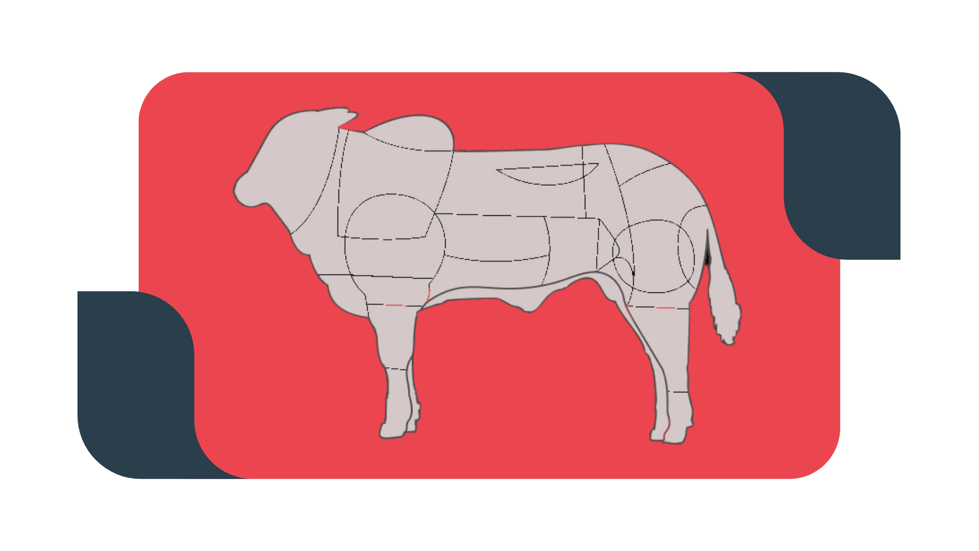 Beef Cuttings Map – Minerva Foods | Criando conexões entre pessoas ...