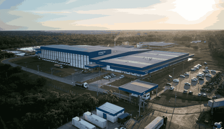 Minerva | Creating Connections between People, Food and Nature ...