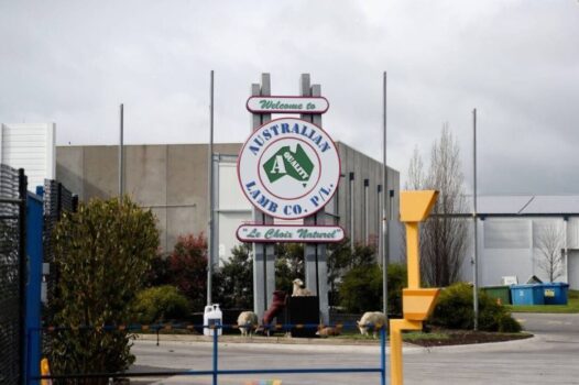 Livestock Australia – Minerva Foods | Criando conexões entre pessoas ...