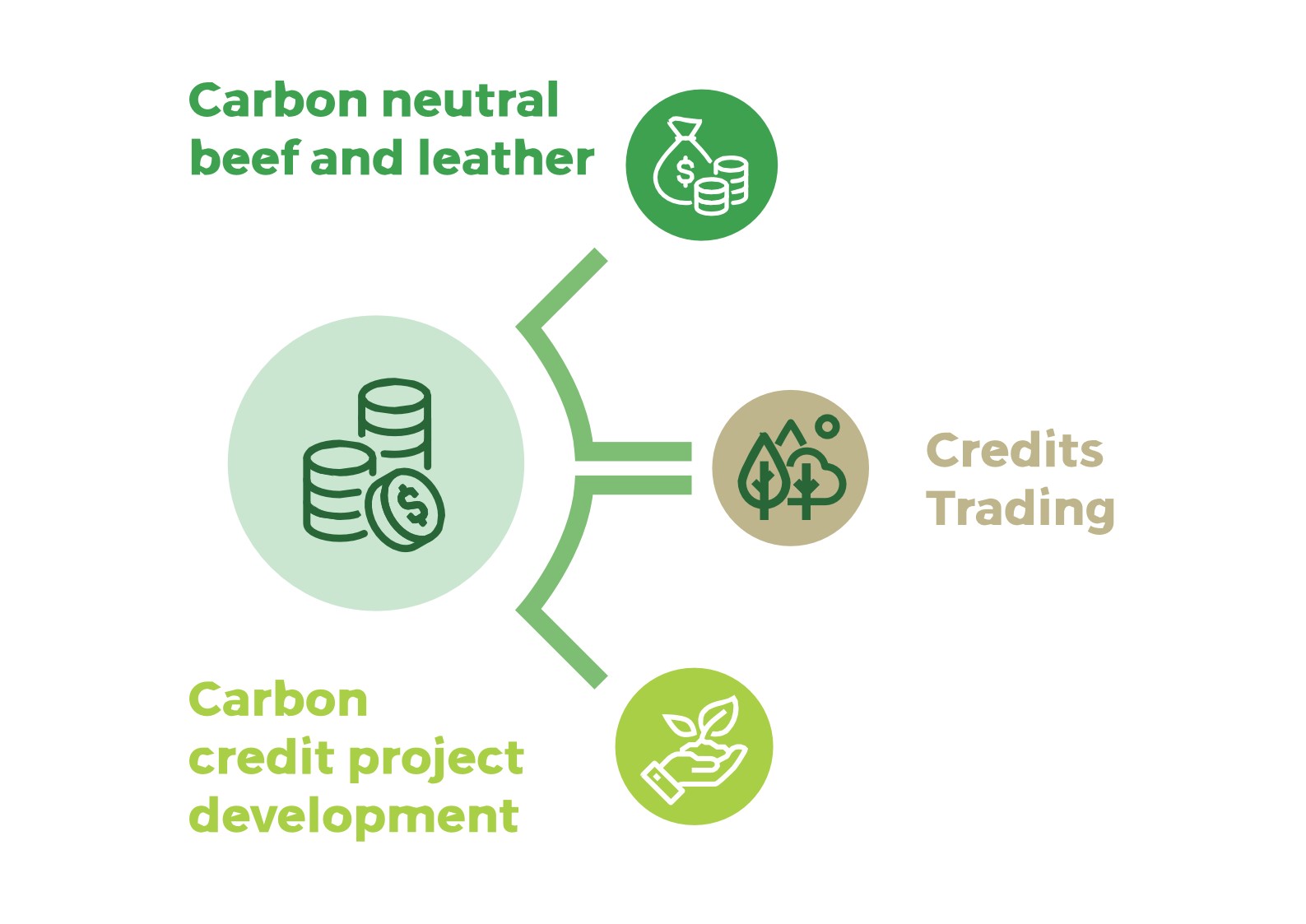 Latin American Carbon Neutral Beef – Minerva Foods | Criando conexões ...