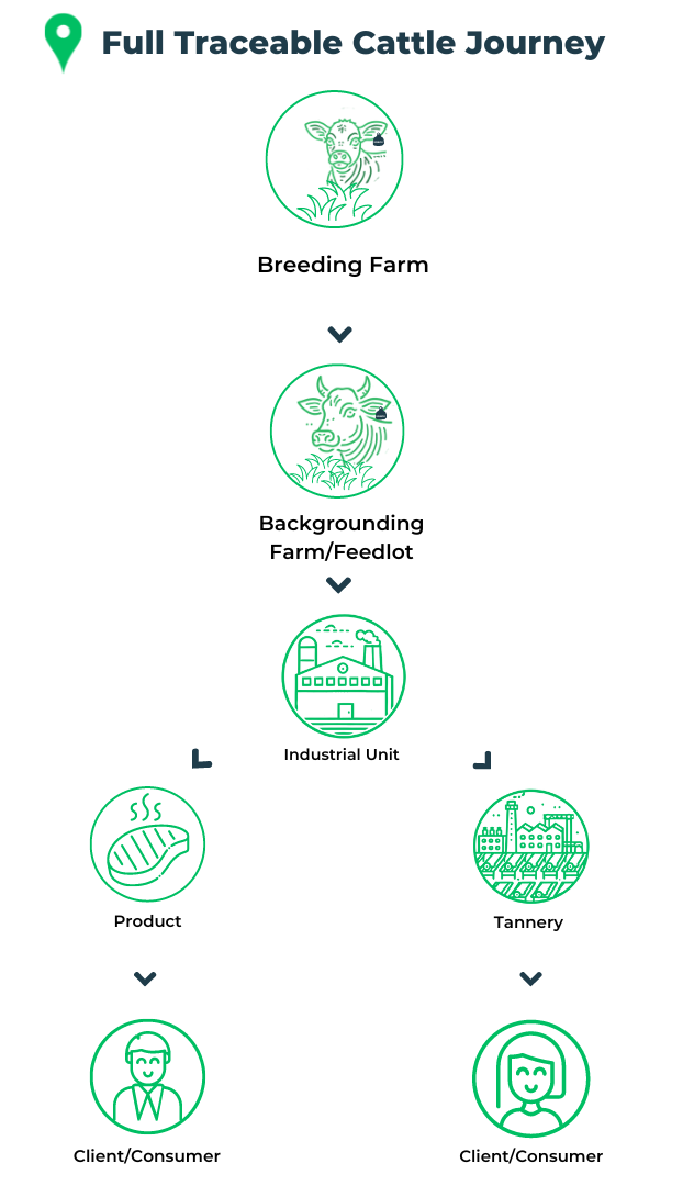 Full Traceable Program – Minerva Foods | Criando conexões entre pessoas ... Full Traceable Program – Minerva Foods | Criando conexões entre pessoas ...
