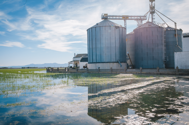 Cómo el almacenamiento de grano puede dejar más efectivo en caja ...